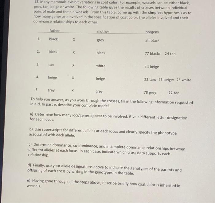 Solved 13. Many mammals exhibit variations in coat color. | Chegg.com