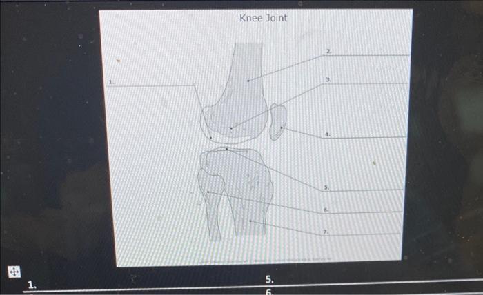 Solved Knee Joint 1. 5. | Chegg.com