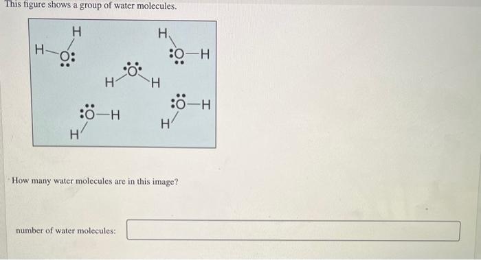 Solved This figure shows a group of water molecules. H H H- | Chegg.com
