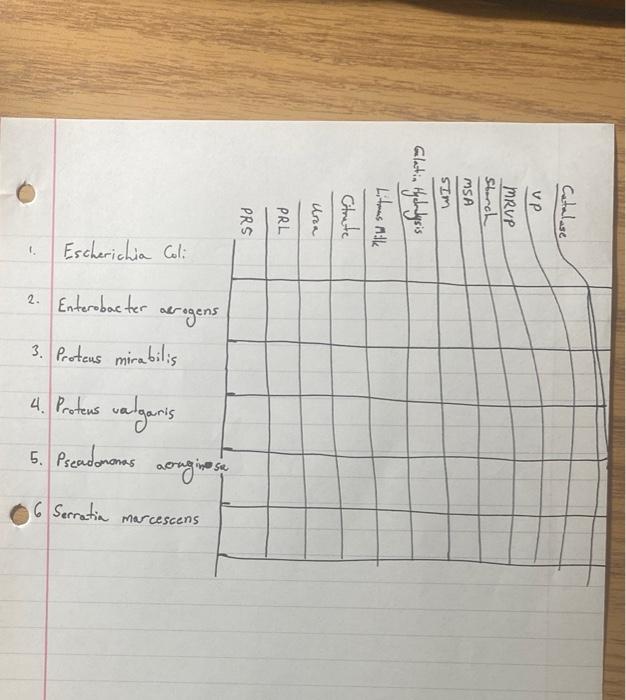 Solved I messed up my chart but can someone help me identify | Chegg.com