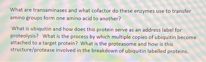 Solved What are transaminases and what cofactor do these | Chegg.com