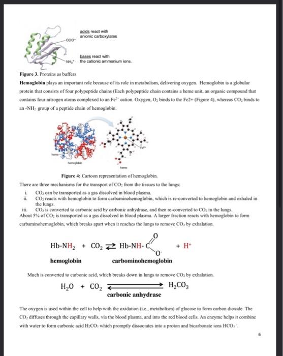 Solved Figure 3. Proteins as buffers Hemoglobin plays an | Chegg.com