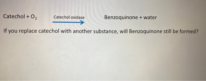 Solved Catechol + O2 Catechol oxidase Benzoquinone + water | Chegg.com