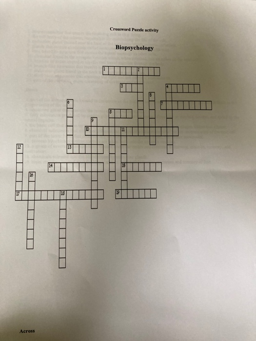 Crossword Puzzle activity Biopsychology D 11 13 14 15 | Chegg.com