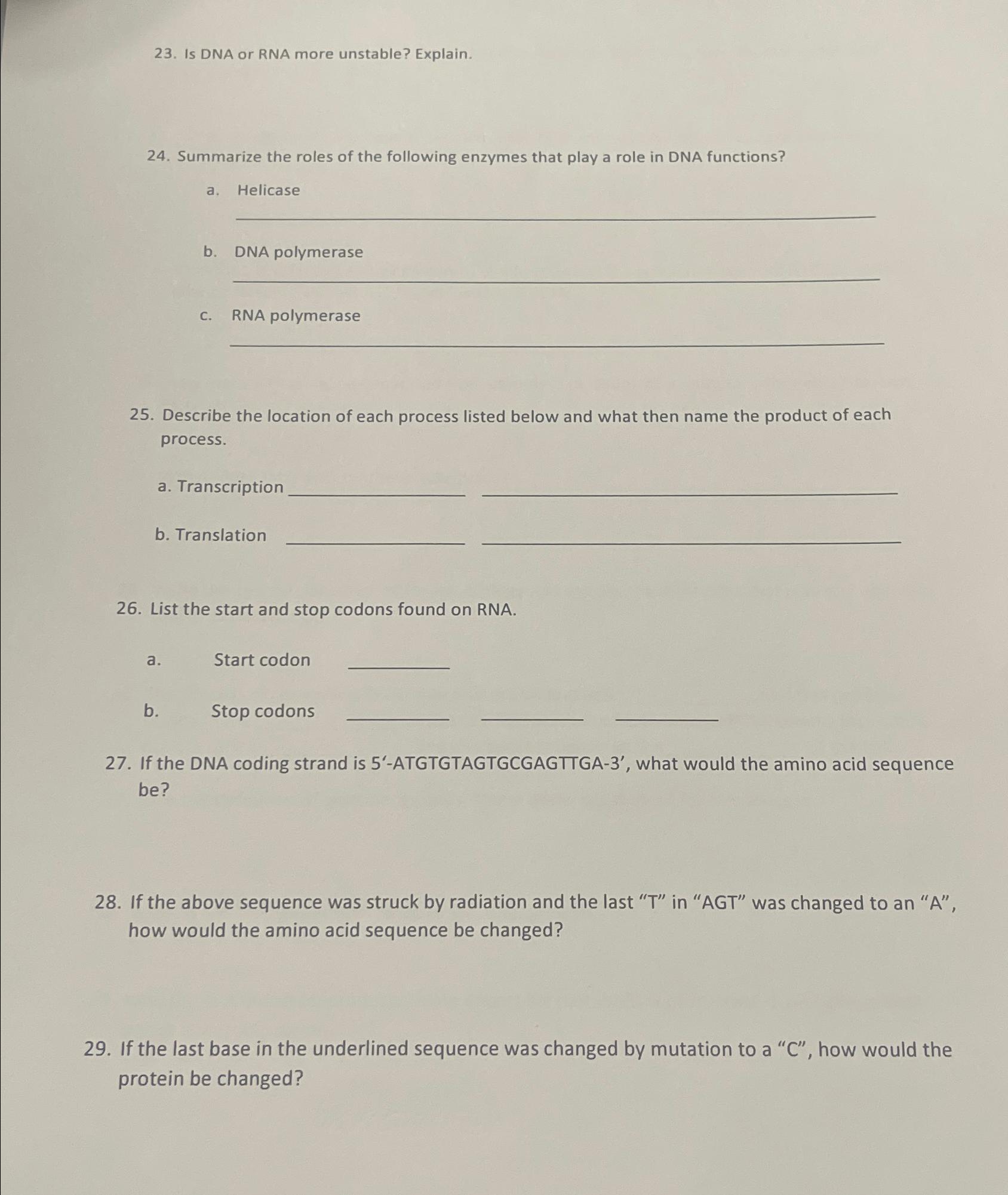 Solved Is DNA or RNA more unstable? Explain.Summarize the | Chegg.com