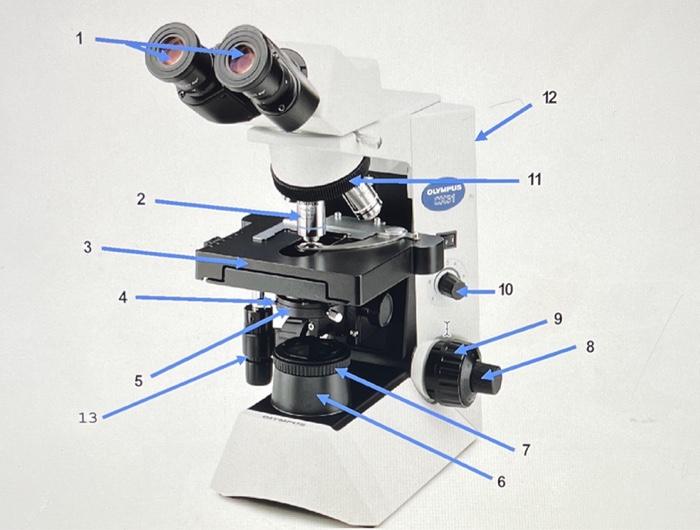 Solved Table 1. Match the part of the microscope to the | Chegg.com