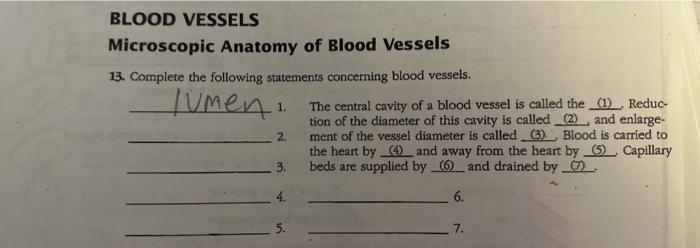BLOOD VESSELS Microscopic Anatomy of Blood Vessels | Chegg.com