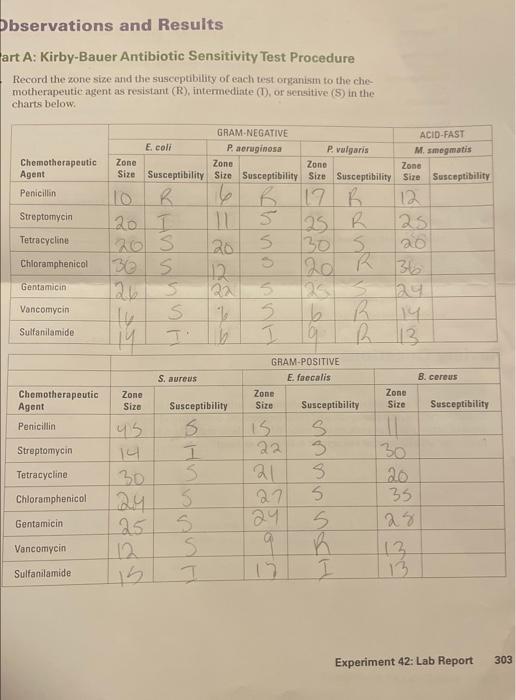 Solved Observations and Results art A: Kirby-Bauer | Chegg.com