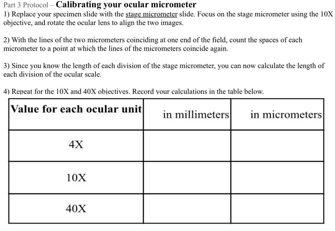 Solved Part 3 ﻿Protocol - ﻿Calibrating your ocular | Chegg.com