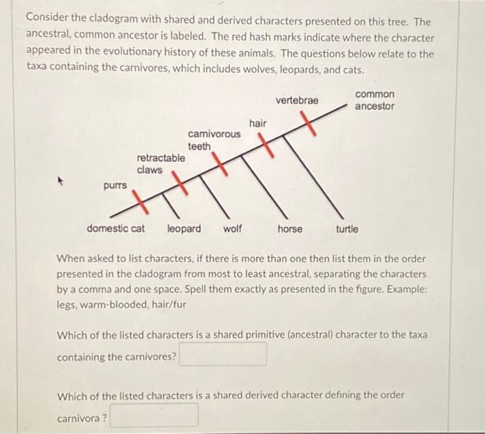 Solved Consider the cladogram with shared and derived | Chegg.com