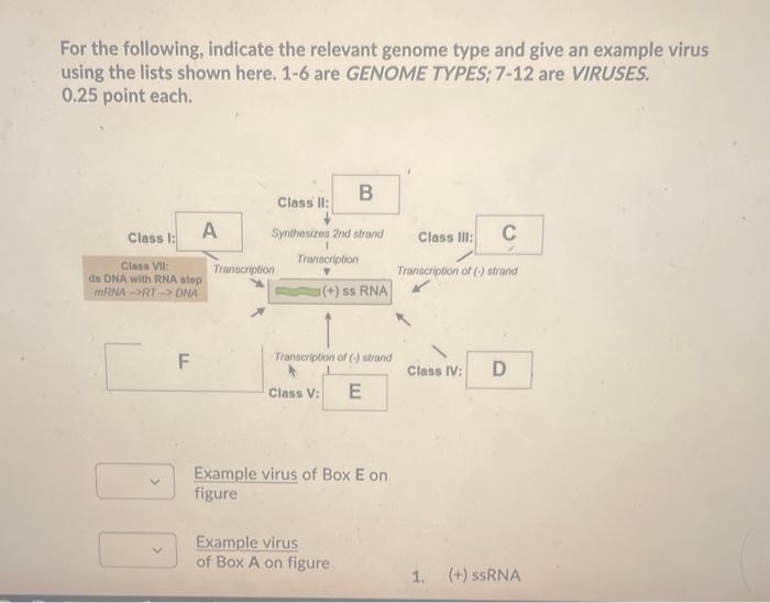 Solved For the following, indicate the relevant genome type | Chegg.com Solved For the following, indicate the relevant genome type | Chegg.com