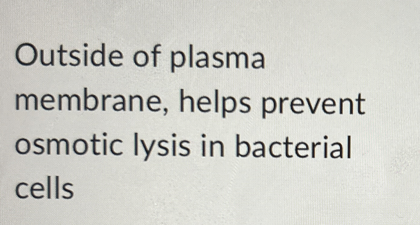 Solved Outside of plasmamembrane, helps preventosmotic lysis | Chegg.com