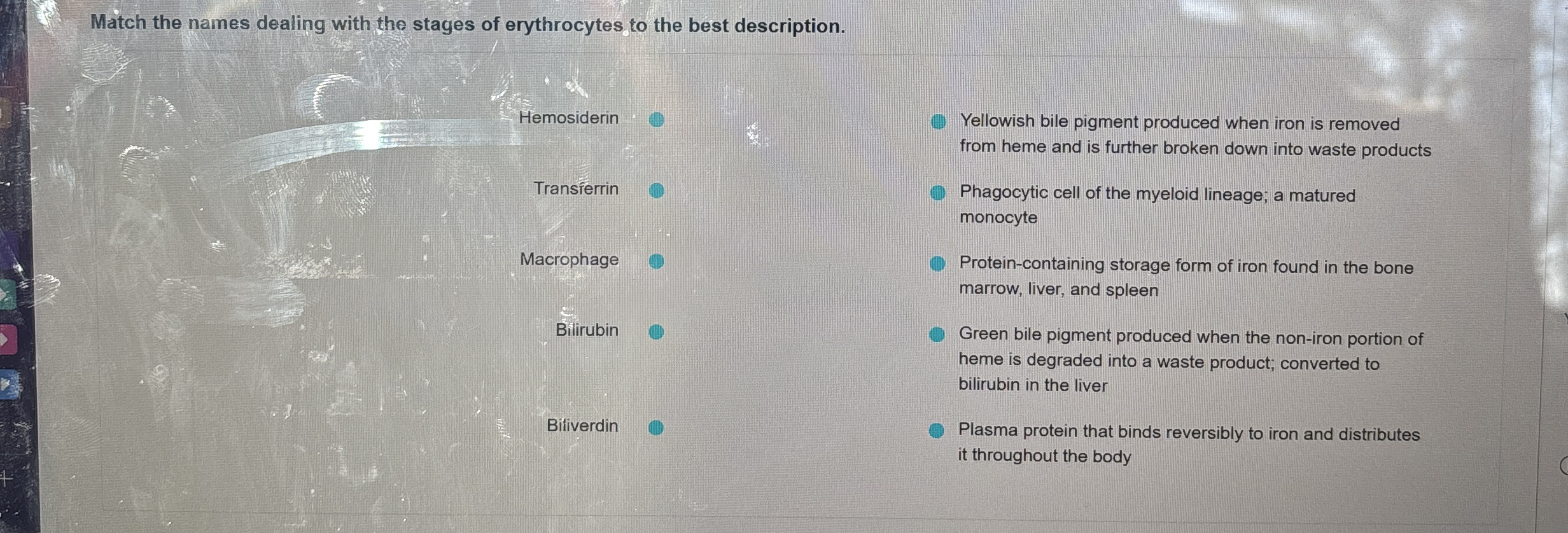 Solved Match the names dealing with the stages of | Chegg.com