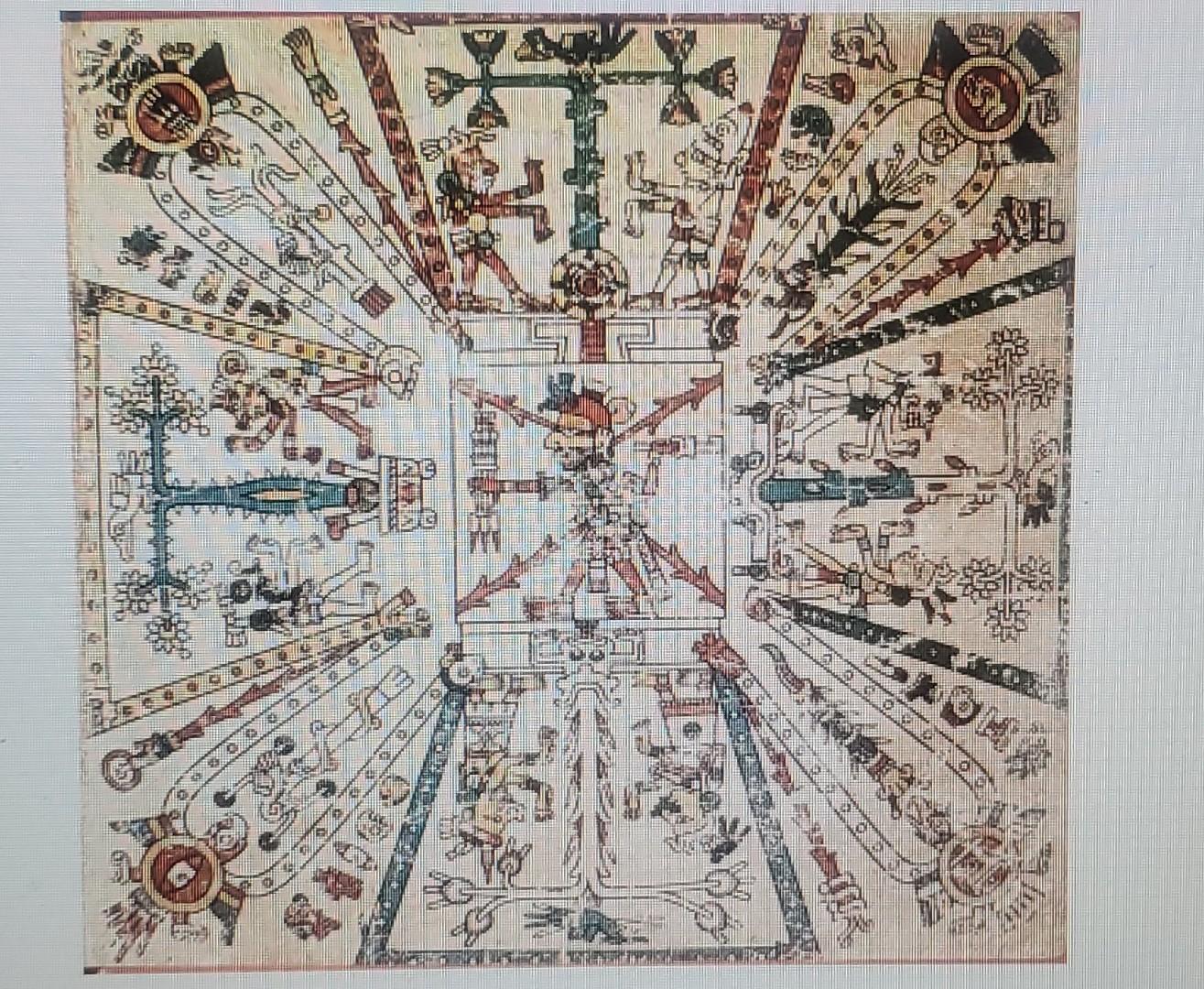 Solved Overall, codex drawings appear _ in their form. | Chegg.com