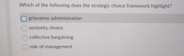 Solved Which of the following does the strategic choice | Chegg.com