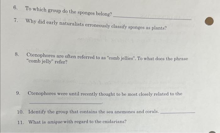 Solved 6. To which group do the sponges belong? 7. Why did | Chegg.com