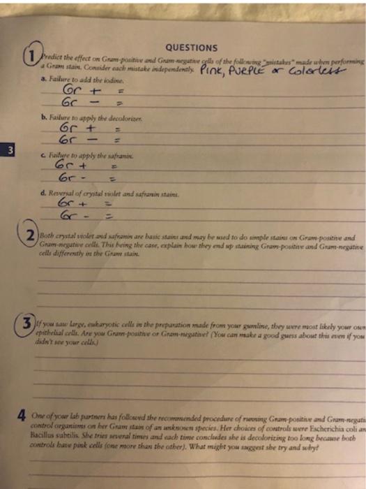 [Solved]: 3 QUESTIONS 1 Predict the effect on Gram-positive