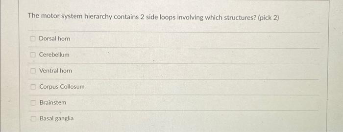 The motor system hierarchy contains 2 side loops | Chegg.com
