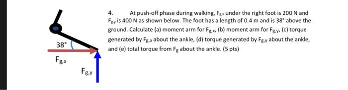 Solved 4. At push-off phase during walking, Fex under the | Chegg.com
