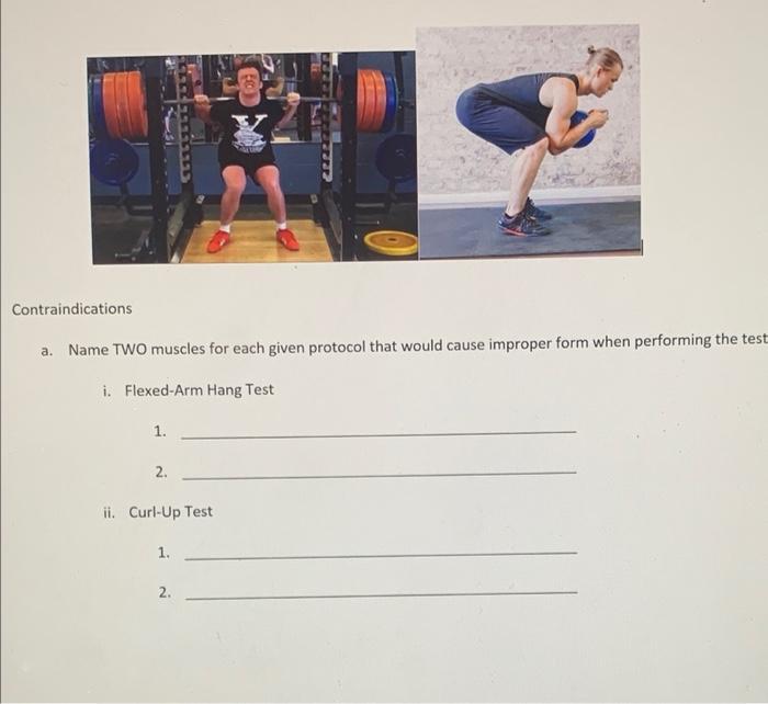 Solved Lab #10: Muscular-Endurance Testing Pre-Lab Worksheet | Chegg.com