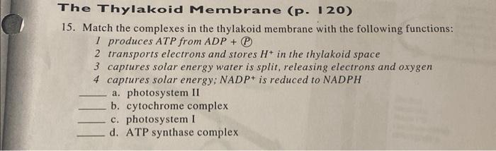 [Solved]: 15. Match the complexes in the thylakoid membrane