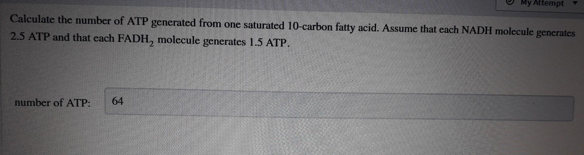 Solved My Attempt Calculate the number of ATP generated from | Chegg.com
