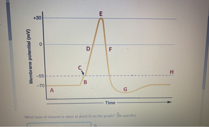 Solved Membrane potential (mV) Time What type of channel is | Chegg.com