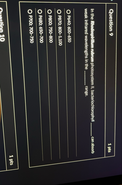 Solved Question 91 ﻿ptsIn the Rhodospirillum rubrum | Chegg.com