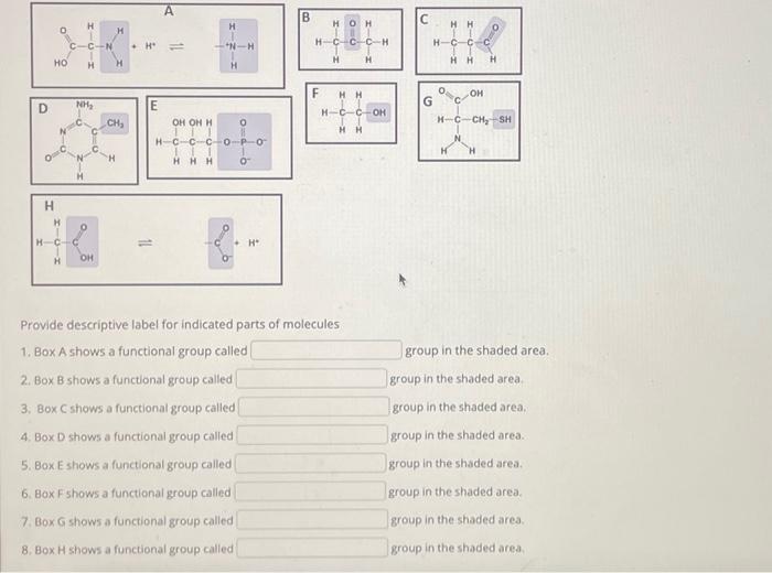 Solved Provide descriptive label for indicated parts of | Chegg.com Solved Provide descriptive label for indicated parts of | Chegg.com