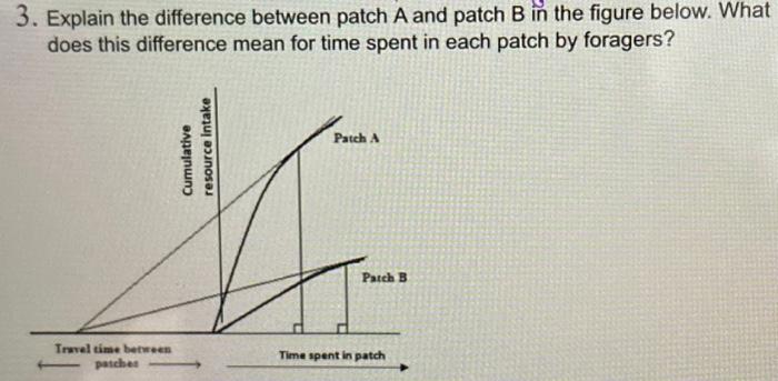 Solved 3. Explain the difference between patch A and patch B | Chegg.com