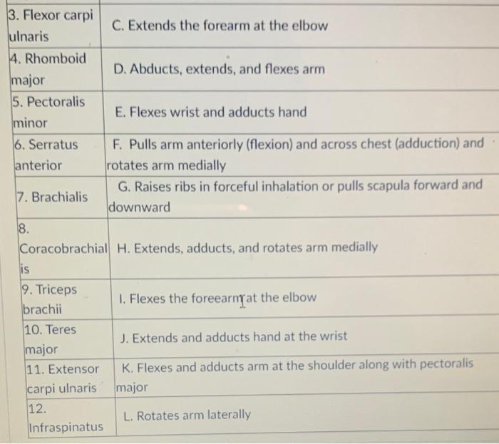 1. Describe the basic sequence of events that occurs | Chegg.com