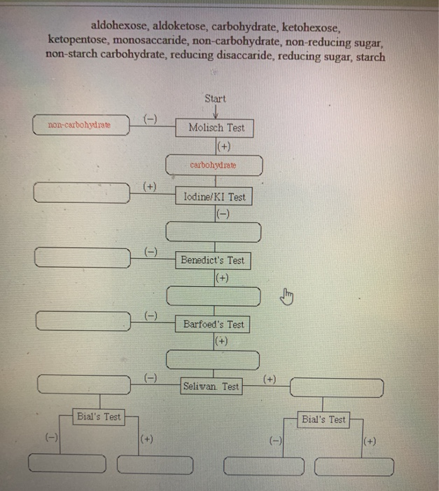 Solved aldohexose, aldoketose, carbohydrate, ketohexose, | Chegg.com