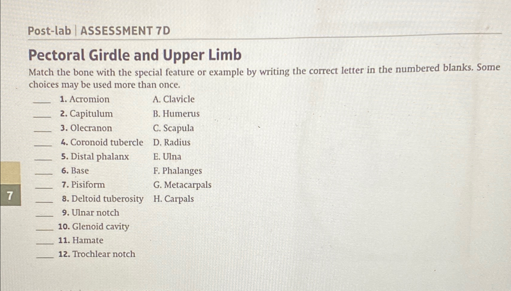 Solved Post-lab | ﻿ASSESSMENT 7DPectoral Girdle and Upper | Chegg.com