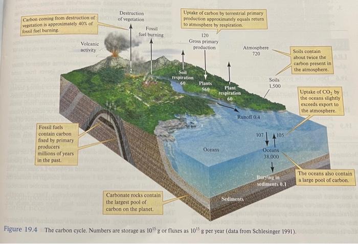 Solved 982, Graham and Duce 1979).Figure tme nurogen cyele. | Chegg.com