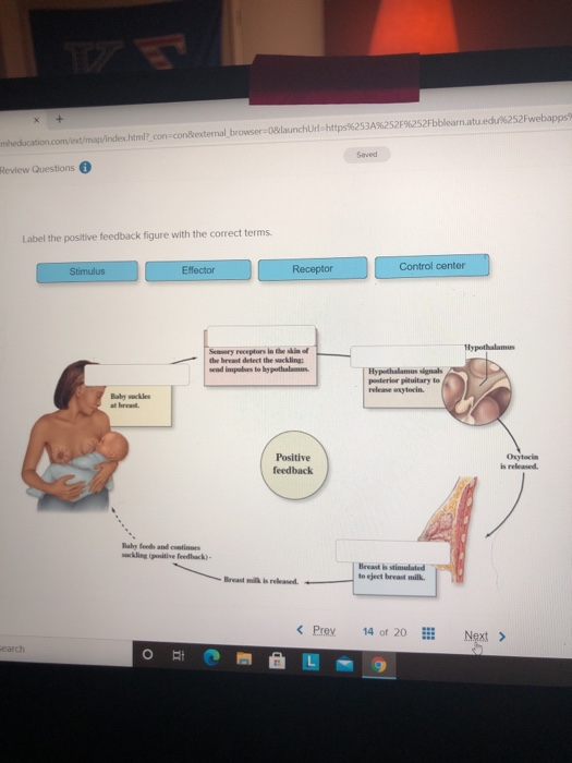 Solved meducation.com/ext/map/indechtml?con con external | Chegg.com