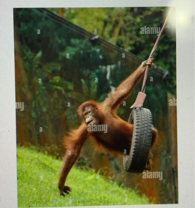 Solved do a free body diagram for the following considered | Chegg.com