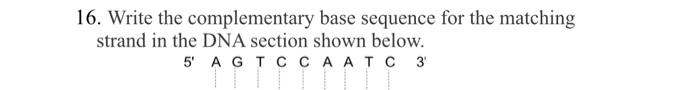 Solved 16. Write the complementary base sequence for the | Chegg.com