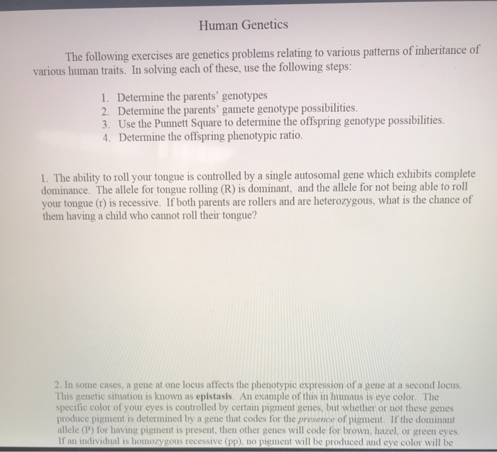 Solved Human Genetics The following exercises are genetics | Chegg.com