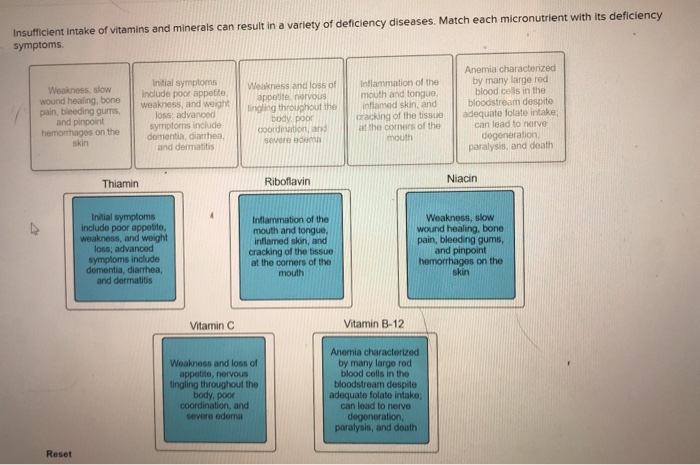 Solved Insufficient intake of vitamins and minerals can | Chegg.com