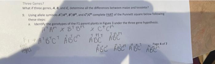 Three Genes? What if three genes, A,B, and C, | Chegg.com