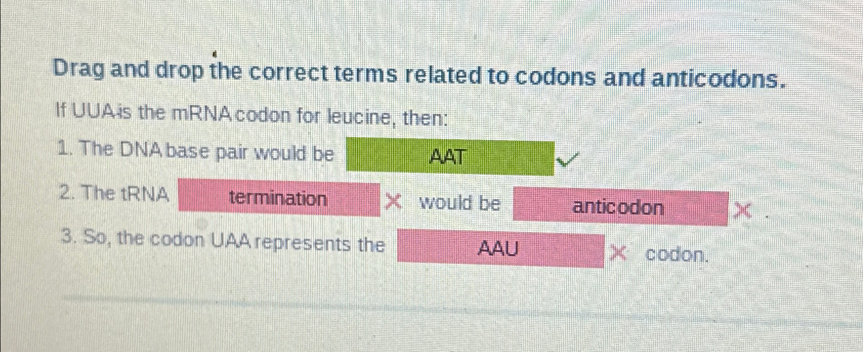 Solved Drag and drop the correct terms related to codons and | Chegg.com