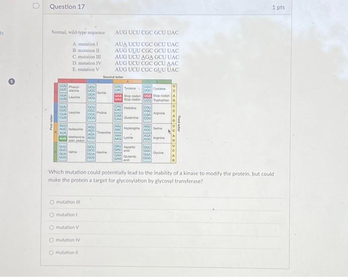 Solved Normal, wild-type soquence AUG UCU CGC GCU UAC A. | Chegg.com