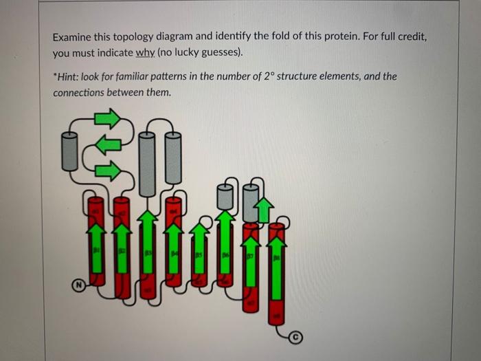 Solved Consider the structure of myohemerythrin shown at | Chegg.com