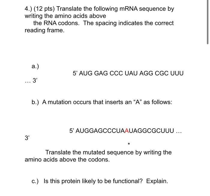 Solved Translate The Following Mrna Sequence By Writing The