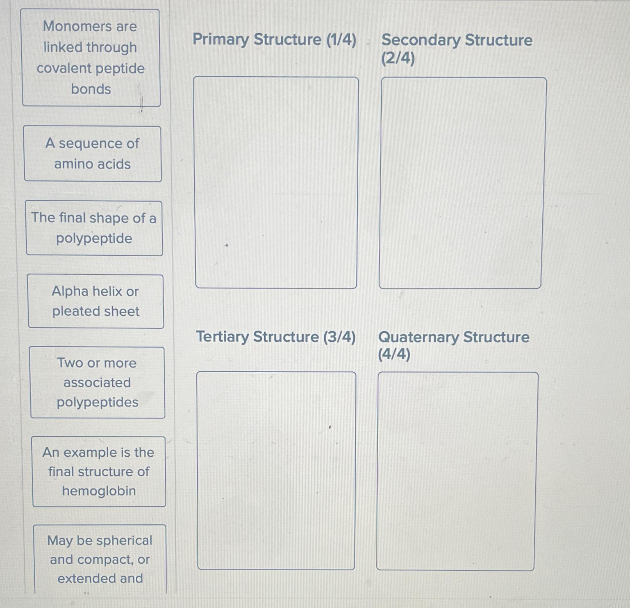 Solved Monomers are linked through covalent peptide bondsA | Chegg.com