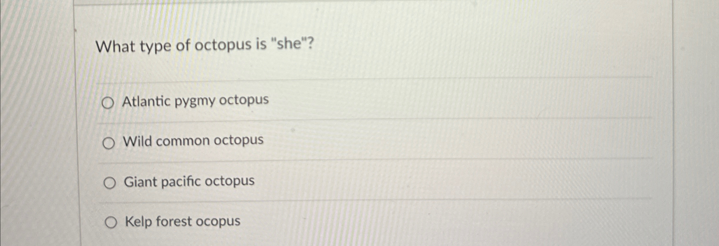 Solved What type of octopus is "she"?Atlantic pygmy | Chegg.com
