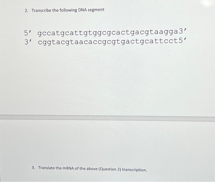 Solved 2. Transcribe the following DNA segment 5' | Chegg.com