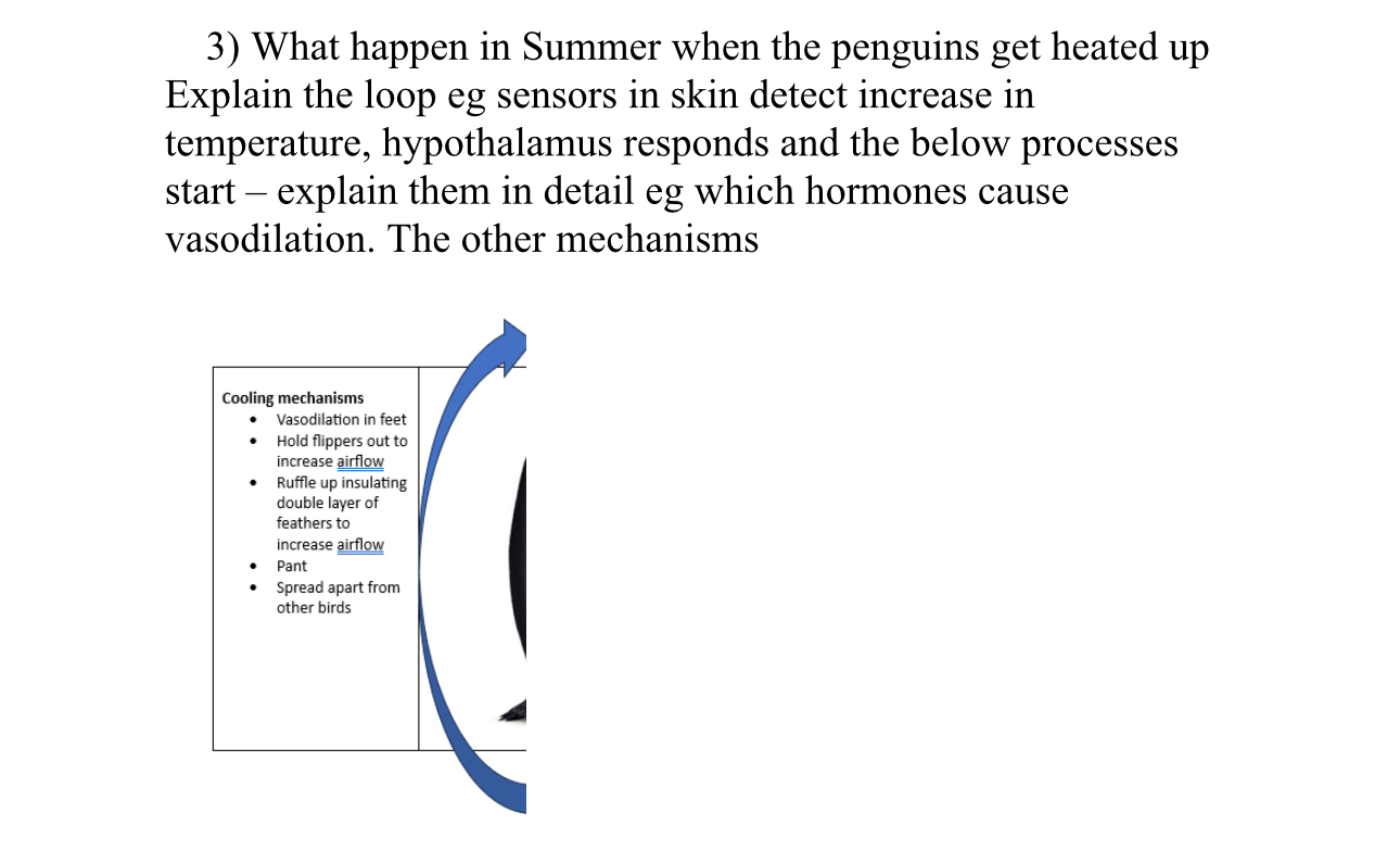 Solved What happen in Summer when the penguins get heated up | Chegg.com