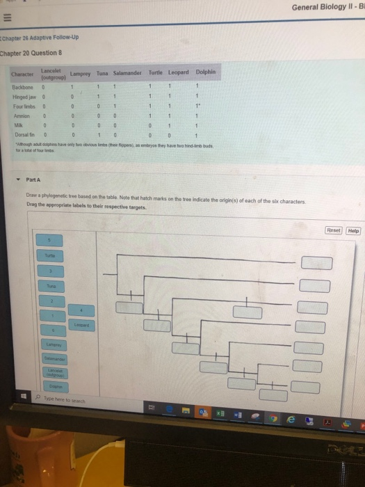 Solved General Biology II - B! Chapter 26 Adaptive Follow-Up | Chegg.com