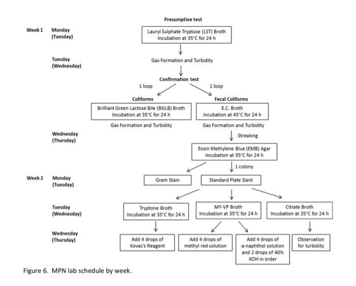 Solved MPN: 3 tubes technique. Dilutions 10 LST +++ BGLB +++ | Chegg.com